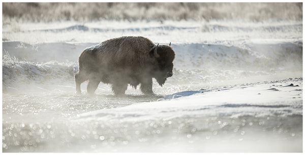 Crossing - Benjamin Olson