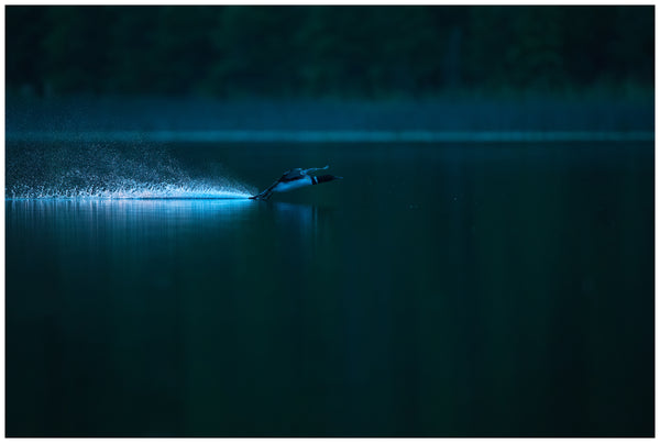 Landing - Benjamin Olson