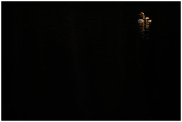 Minimalist - Benjamin Olson