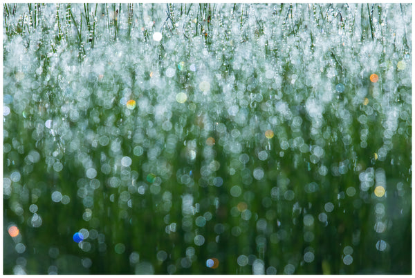 Orbs - Benjamin Olson