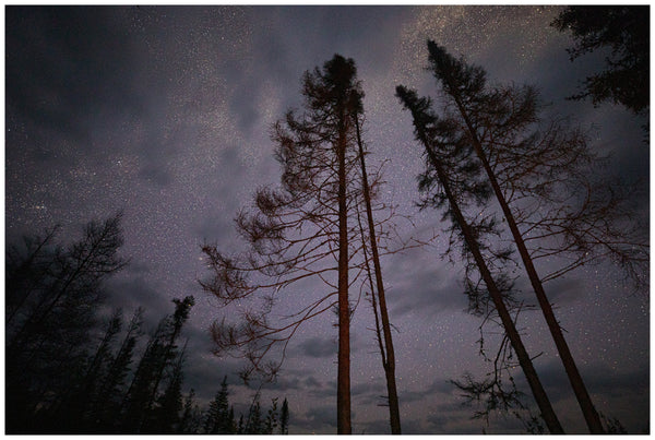 Starlight - Benjamin Olson