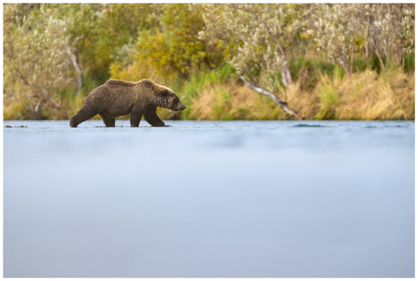 The Fisherman - Benjamin Olson