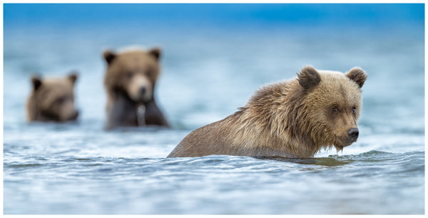 The Three Stooges - Benjamin Olson